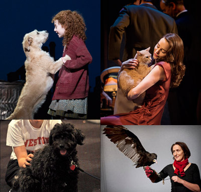 Broadway Animal Actors Poll: Annie or Pippin? Dog, Cat or Vulture ...